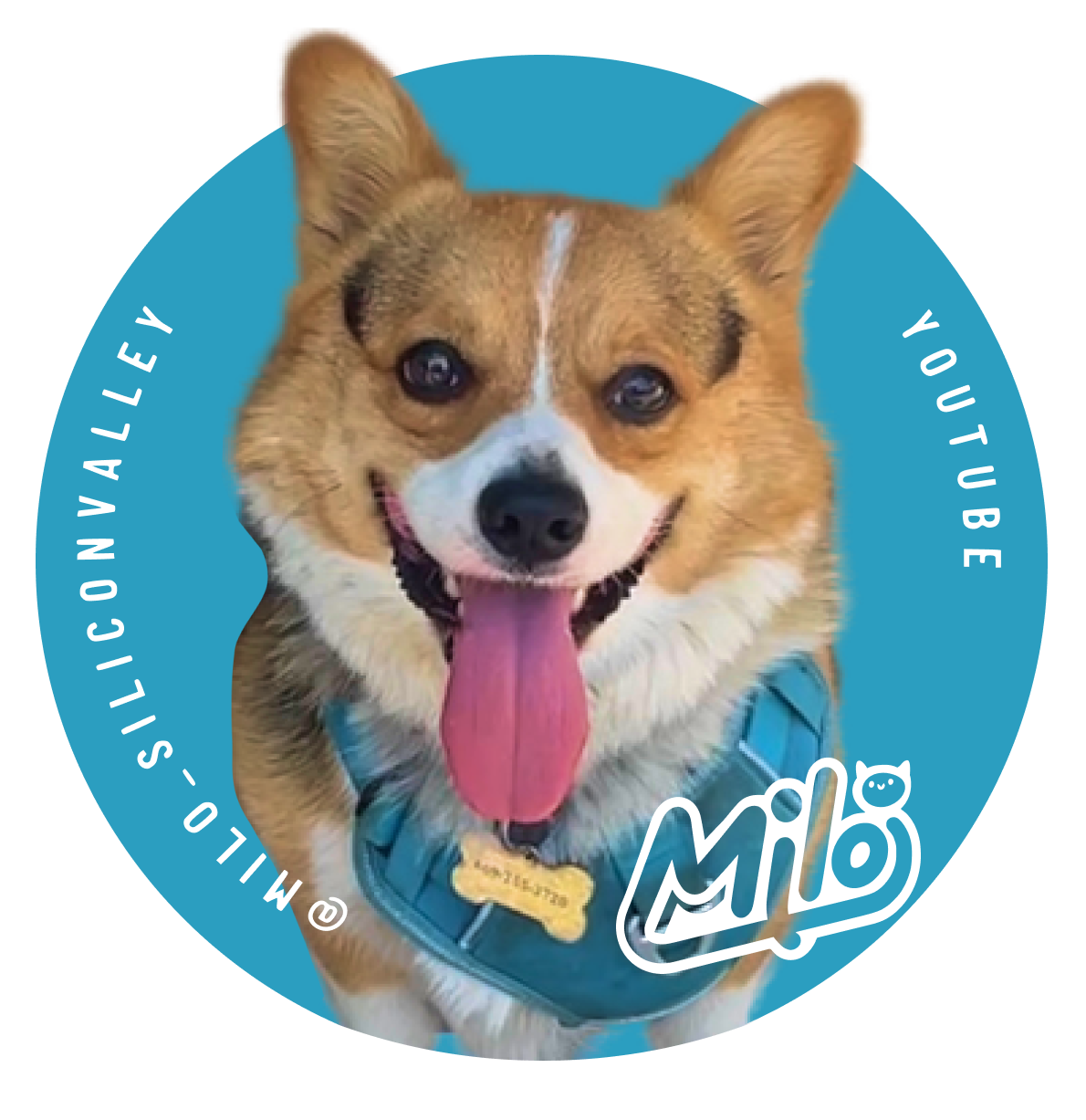 Cachorros Corgi Corriendo Gif