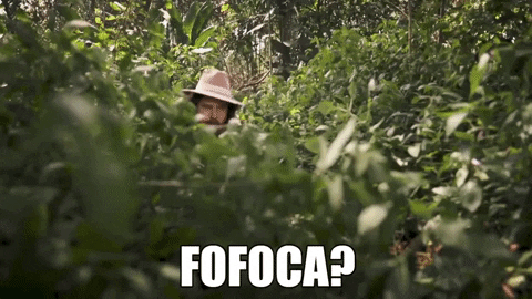 Fofocas GIFs - Get the best GIF on GIPHY