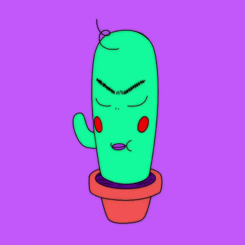 Cactus Thorns GIF by Margaret Bialis - Find & Share on GIPHY
