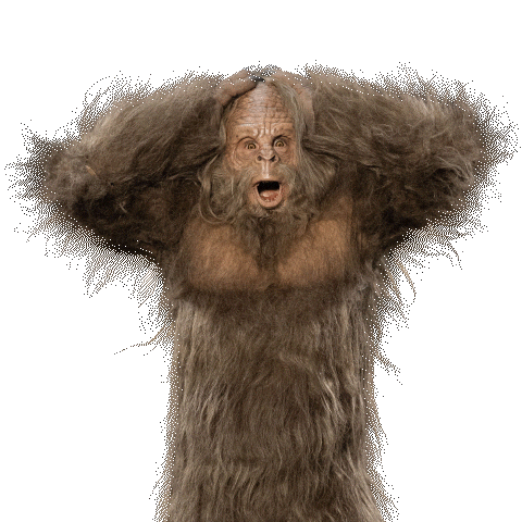 Jack Link's Jerky GIFs on GIPHY - Be Animated