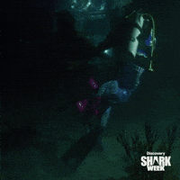 Shark-dancing GIFs - Get the best GIF on GIPHY