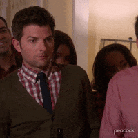 Parks And Recreation Ben Gif