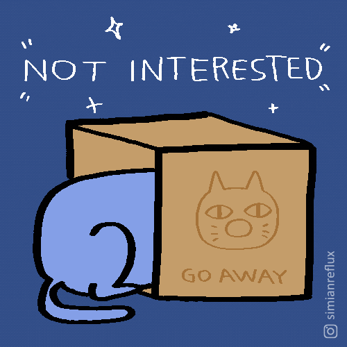 Go Away Cat Gif