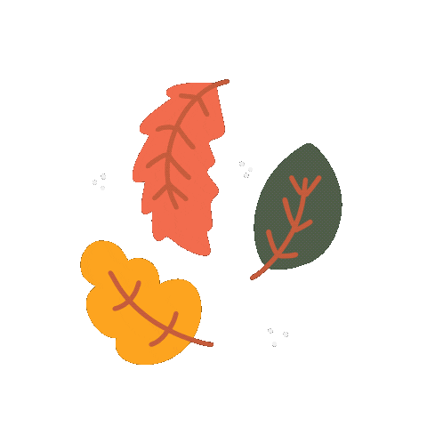 Falling Leaves Gif Transparent