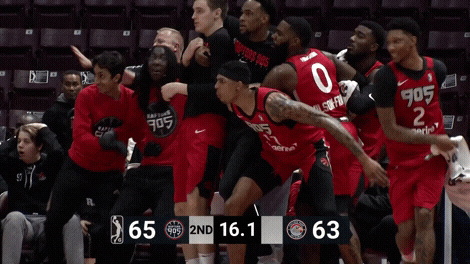 Raptors-905 GIFs - Get the best GIF on GIPHY