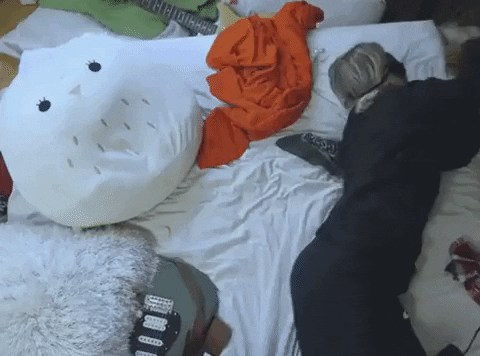 Real Life GIFs on GIPHY - Be Animated