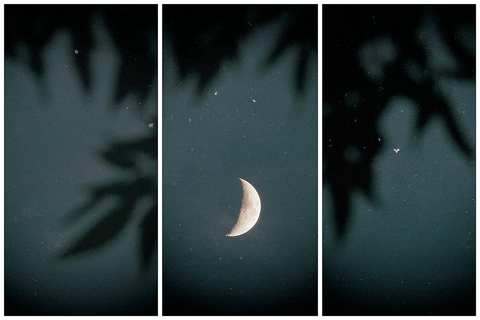 Digital Media Landscape GIF by Robert Matejcek - Find & Share on GIPHY