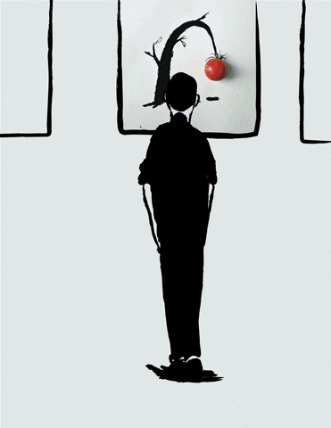 Framed-photo-on-wall GIFs - Get the best GIF on GIPHY