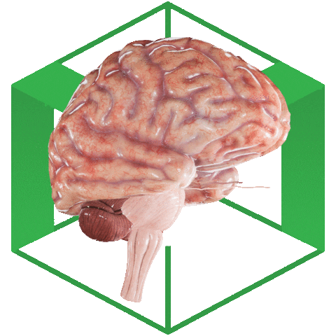 MedRoom VR - Anatomia Humana em Realidade Virtual GIFs on GIPHY - Be ...