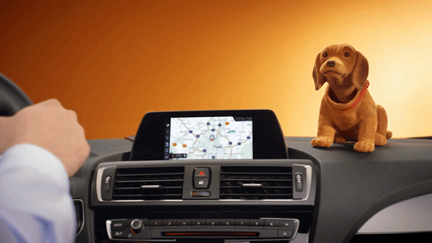 Sixt-dog-infinity-loop-car GIFs - Get the best GIF on GIPHY