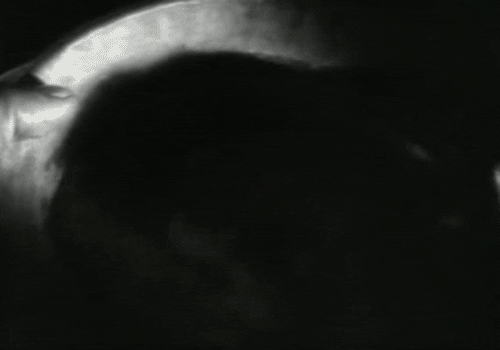 My Last One GIFs - Get the best GIF on GIPHY