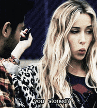 Best brandon GIFs - Primo GIF - Latest Animated GIFs