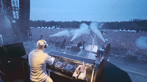 Pinkpop GIFs - Get the best GIF on GIPHY