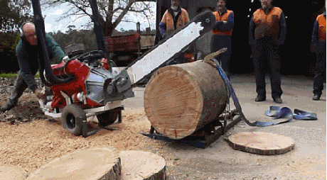 African-round-logs-for-sale GIFs - Get the best GIF on GIPHY