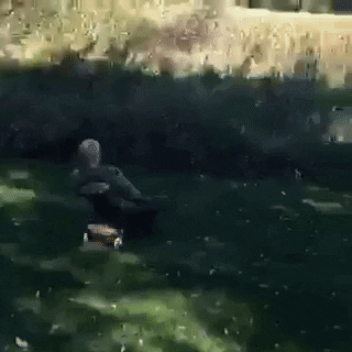 Full Grown Man On Tricycle GIFs - Find & Share on GIPHY