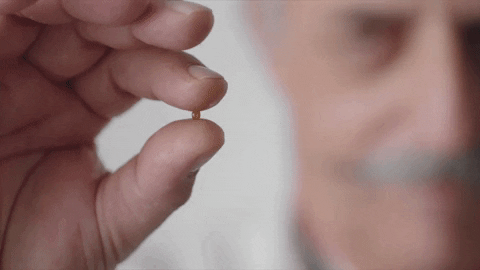 Luxury Caviar GIF by Petrossian - Find & Share on GIPHY