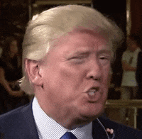 Trump Face GIFs - Find & Share on GIPHY