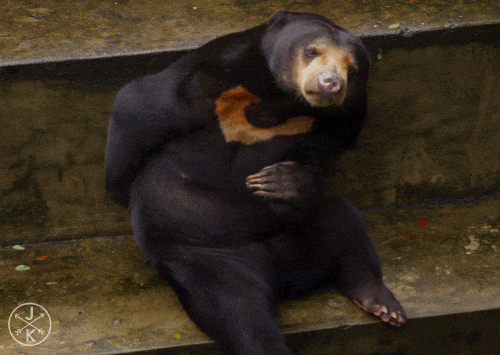 Itchy Butt S Get The Best On Giphy