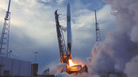 Dragon Launch GIF by NASA - Find & Share on GIPHY