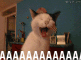 Screaming Cat GIFs - Get the best GIF on GIPHY