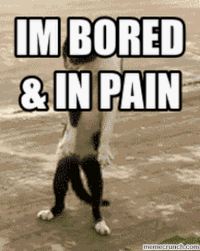 Im So Bored Gif