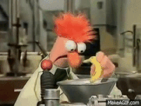 Beaker Muppet Gif