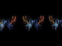 Best protein GIFs - Primo GIF - Latest Animated GIFs