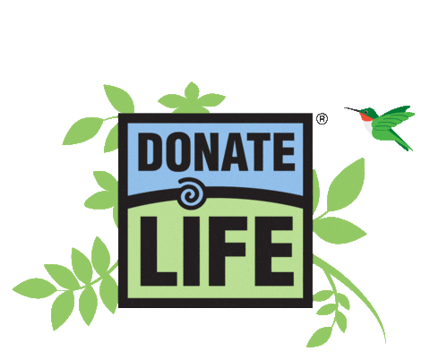 donatelifeamerica GIFs on GIPHY - Be Animated