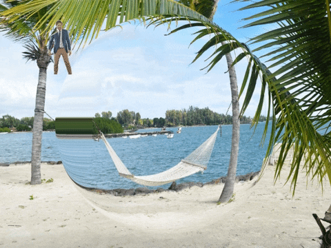 Canon Eos 6D Mark Ii GIFs - Get the best GIF on GIPHY