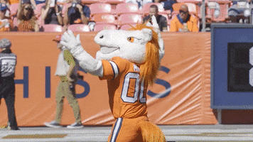 Broncos GIFs on GIPHY - Be Animated
