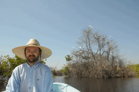 Inside The Animation Studio GIFs - Get the best GIF on GIPHY