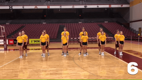 Minnesota Spirit Squad GIFs - Get the best GIF on GIPHY