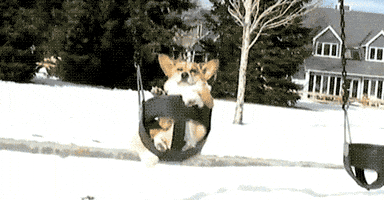 Swinging GIFs - Find & Share on GIPHY