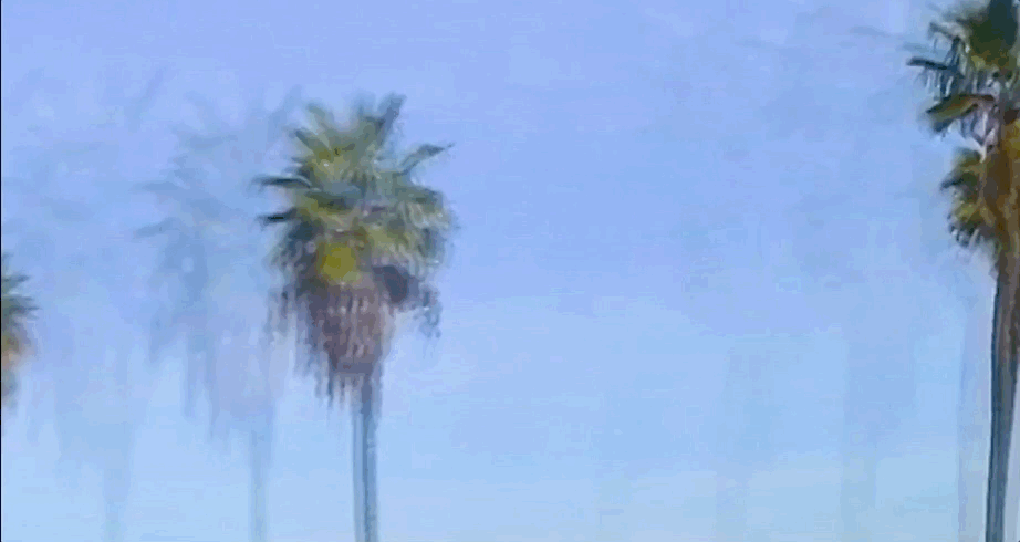 Los Angeles California GIF - Find & Share on GIPHY