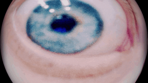 Horror Omg GIF - Find & Share on GIPHY