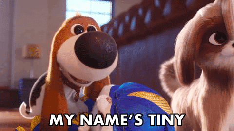 The Secret Life of Pets 2 Celebrates National Puppy Day by The Secret ...