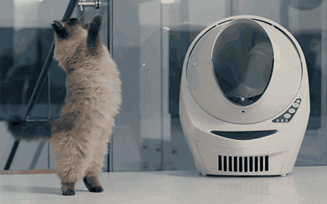 Litter-Robot GIFs on GIPHY - Be Animated