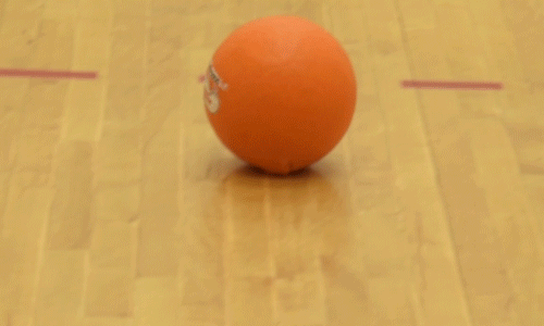 Throw Dodgeball GIF by DC Fray - Find & Share on GIPHY