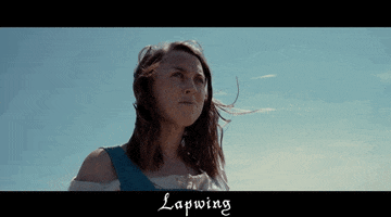 LAPWING GIFs on GIPHY - Be Animated