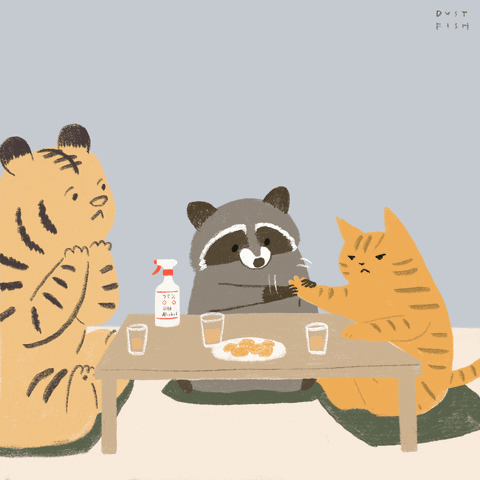 Cat Calendar GIFs - Find & Share on GIPHY