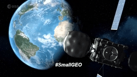 Smallgeo GIFs - Get the best GIF on GIPHY