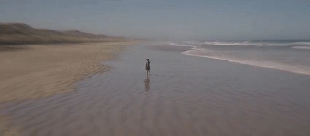 Beach Views GIF by Good Deed Entertainment - Find & Share on GIPHY