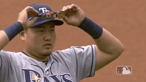 Tampa Bay Rays 2019 GIFs - Get the best GIF on GIPHY