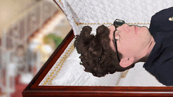 Coffin Meme GIFs - Find & Share on GIPHY