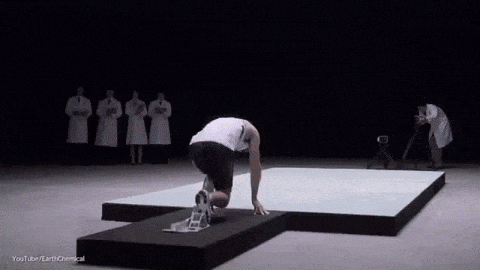 Flypaper GIFs - Get the best GIF on GIPHY