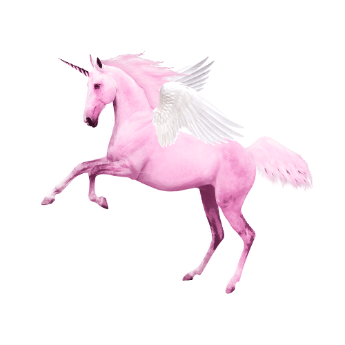 Pink Unicorn Sticker by prettylittlething for iOS & Android | GIPHY