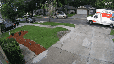 Stealth Fail GIFs - Get the best GIF on GIPHY