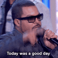 Ice Cube Gif Good Day