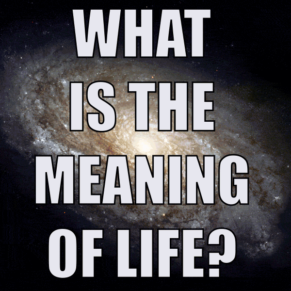 What Is The Meaning Of Life? GIF by AwesomenessTV - Find & Share on GIPHY