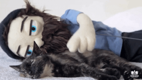 The 15 Most Ridiculous Puppet GIFs You've Ever Seen by Entertainment ...